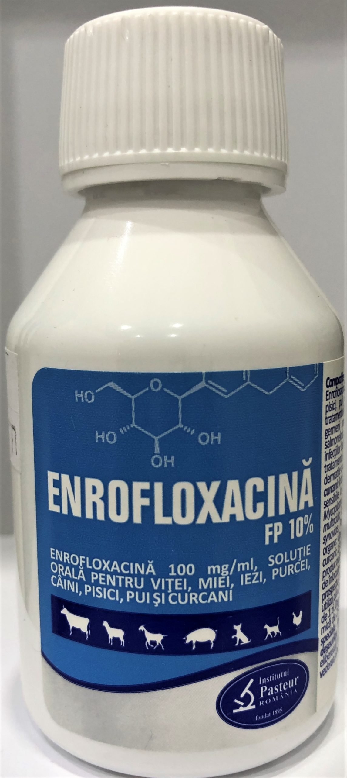 Pets - The Vet Experts